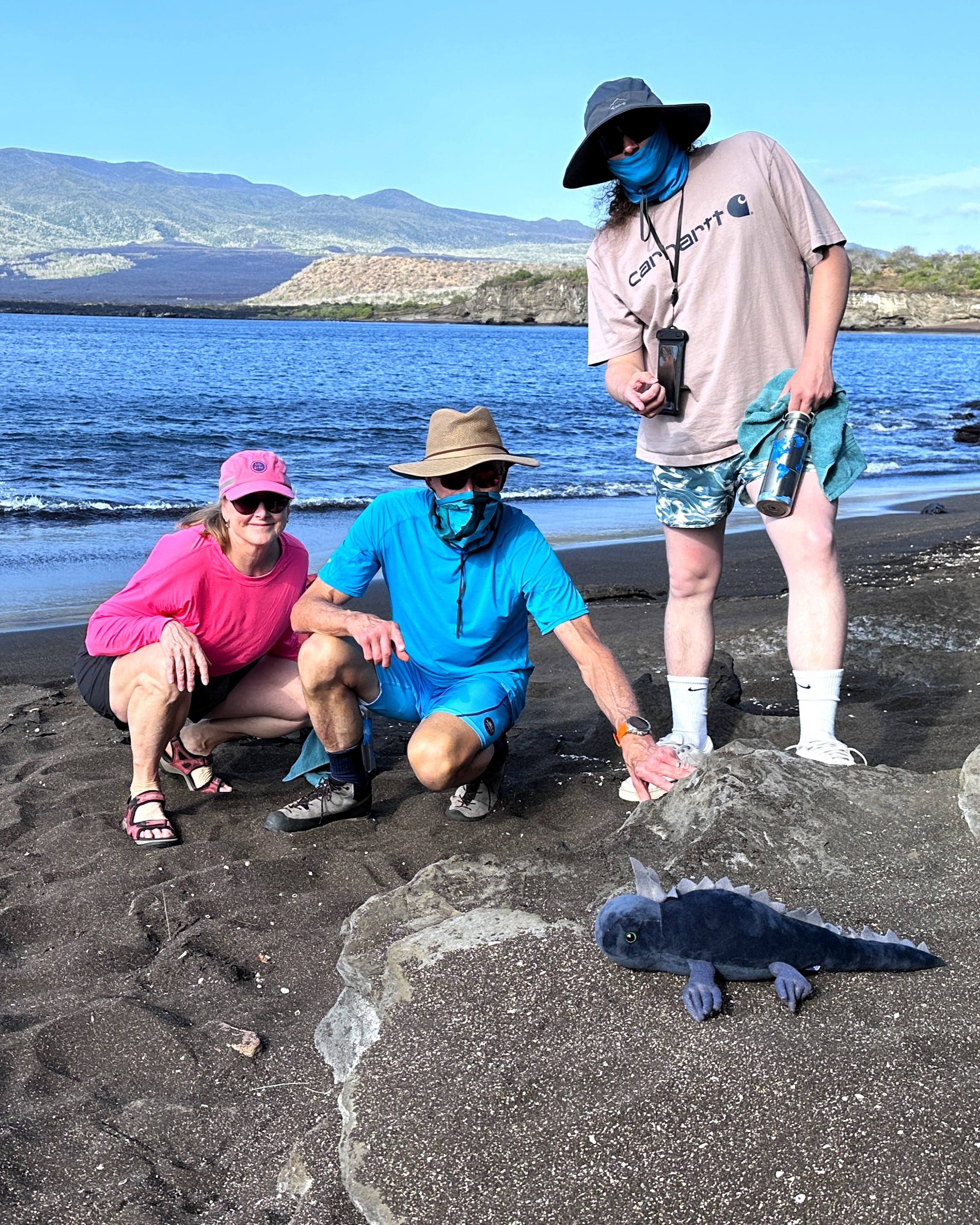 Origin of Specious Iguana – Spasso: fun walks and meaningful chats